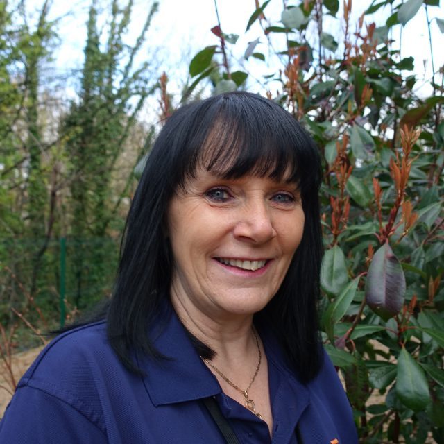 Michelle Hardman - STEPS Rehabilitation